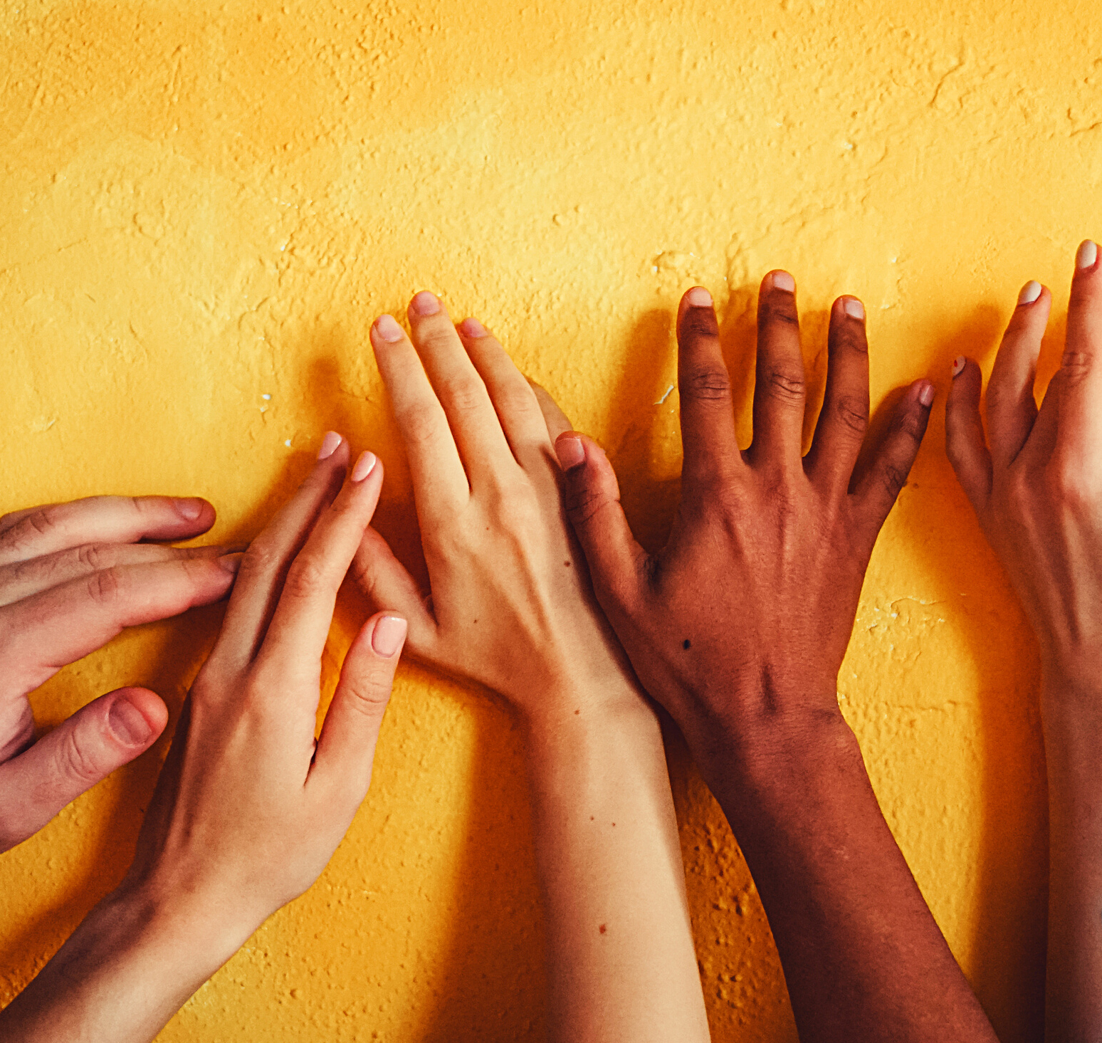 Curso Básico del Hecho Religioso | Iscreb